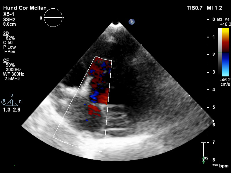 Ultraljud - Blå Stjärnan Borås